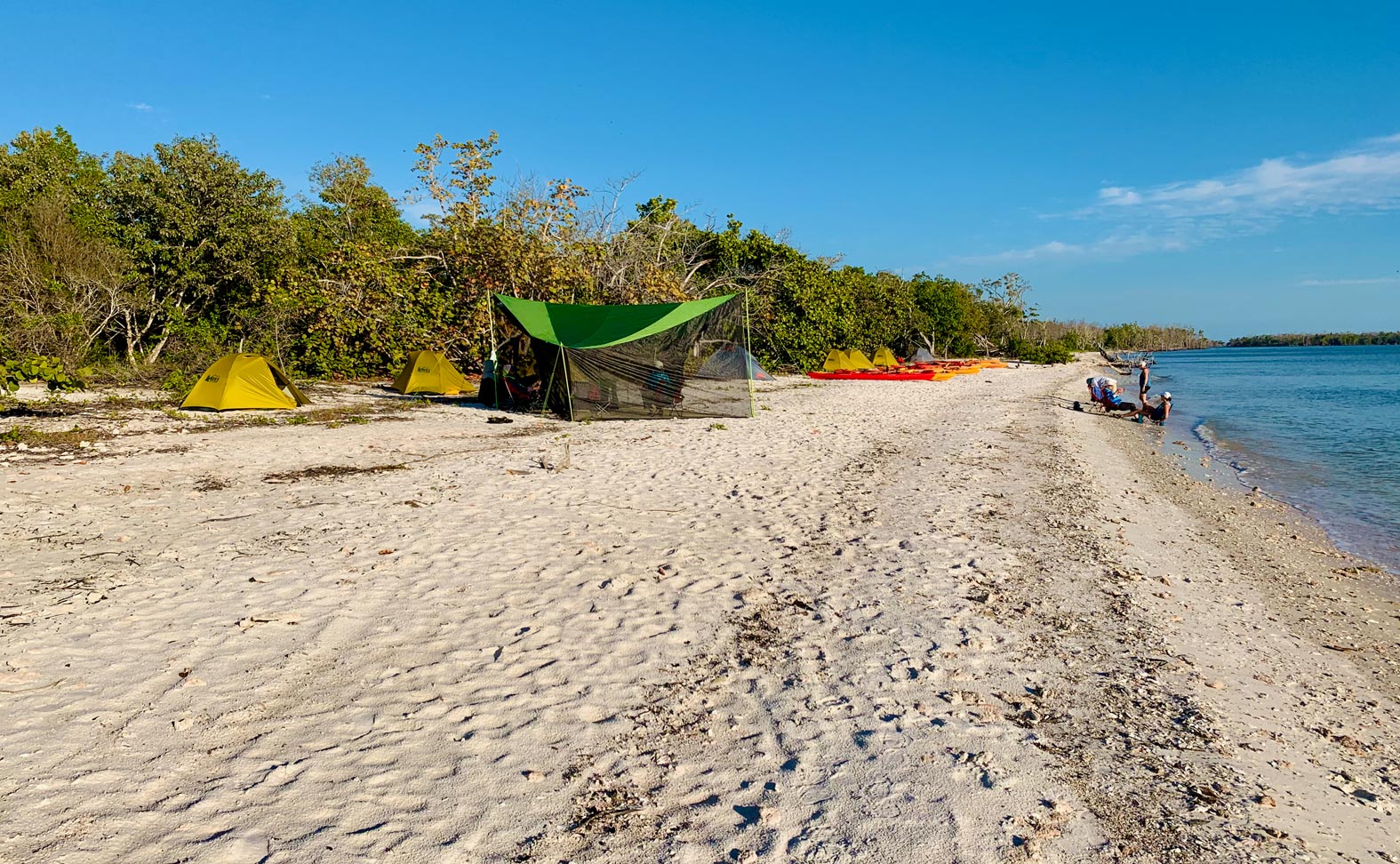 Ten Thousand Islands Kayaking | Bad Adventures