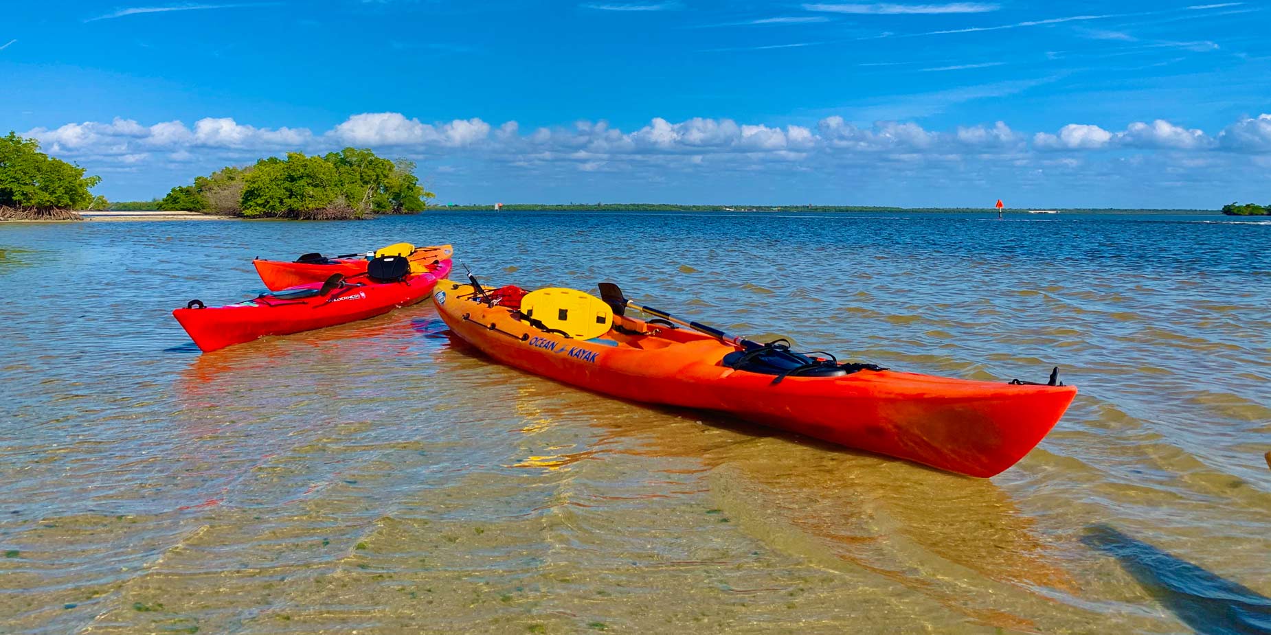 Ten Thousand Islands Kayaking | Bad Adventures